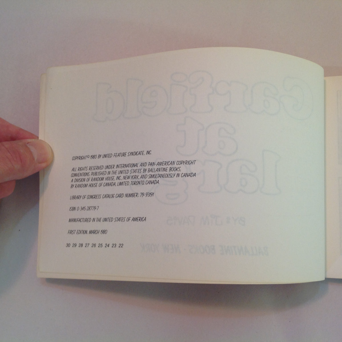 Vintage 1980 Trade Paperback Garfield At Large: His First Book Jim Dav ...