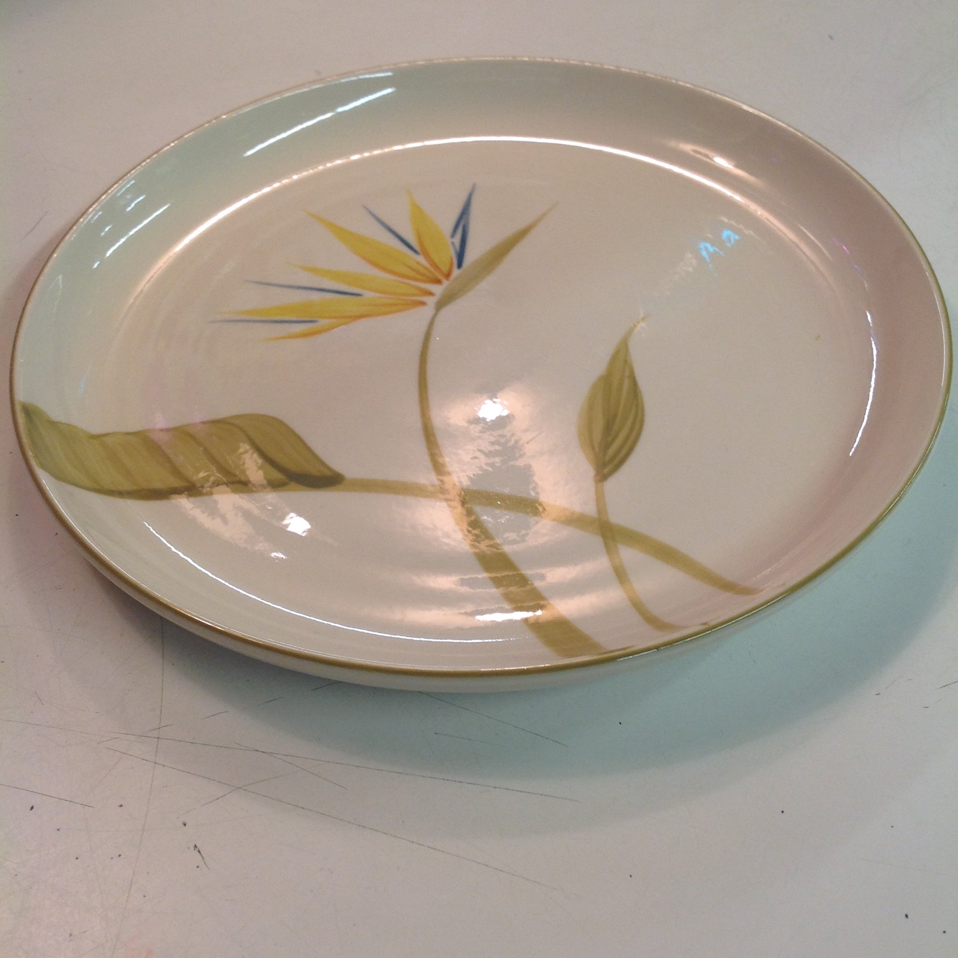 Vintage Handcrafted China Winfield Bird of Paradise Patterned Dinner P ...